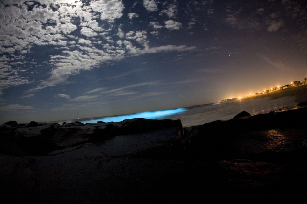 25 Unusual Natural Phenomena Around the World You Must Experience ...