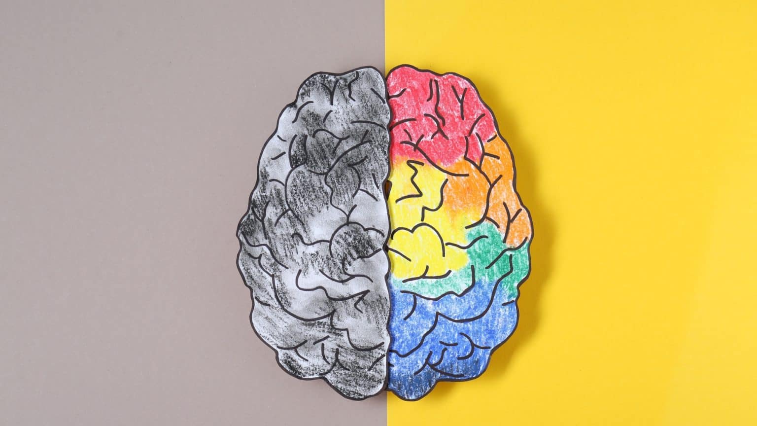 15 misconceptions that have become modern-day ‘facts’ – Canadian Essence